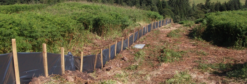 Reptile Fencing | OpenSpace